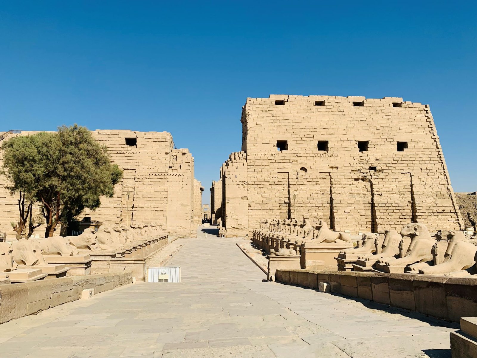 Awesome Jordan & Egypt Tour In 15 Days 2025/2026